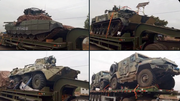 Magnólia - ruský kvet zmrazený v arktickej rezerve - Armádny magazín